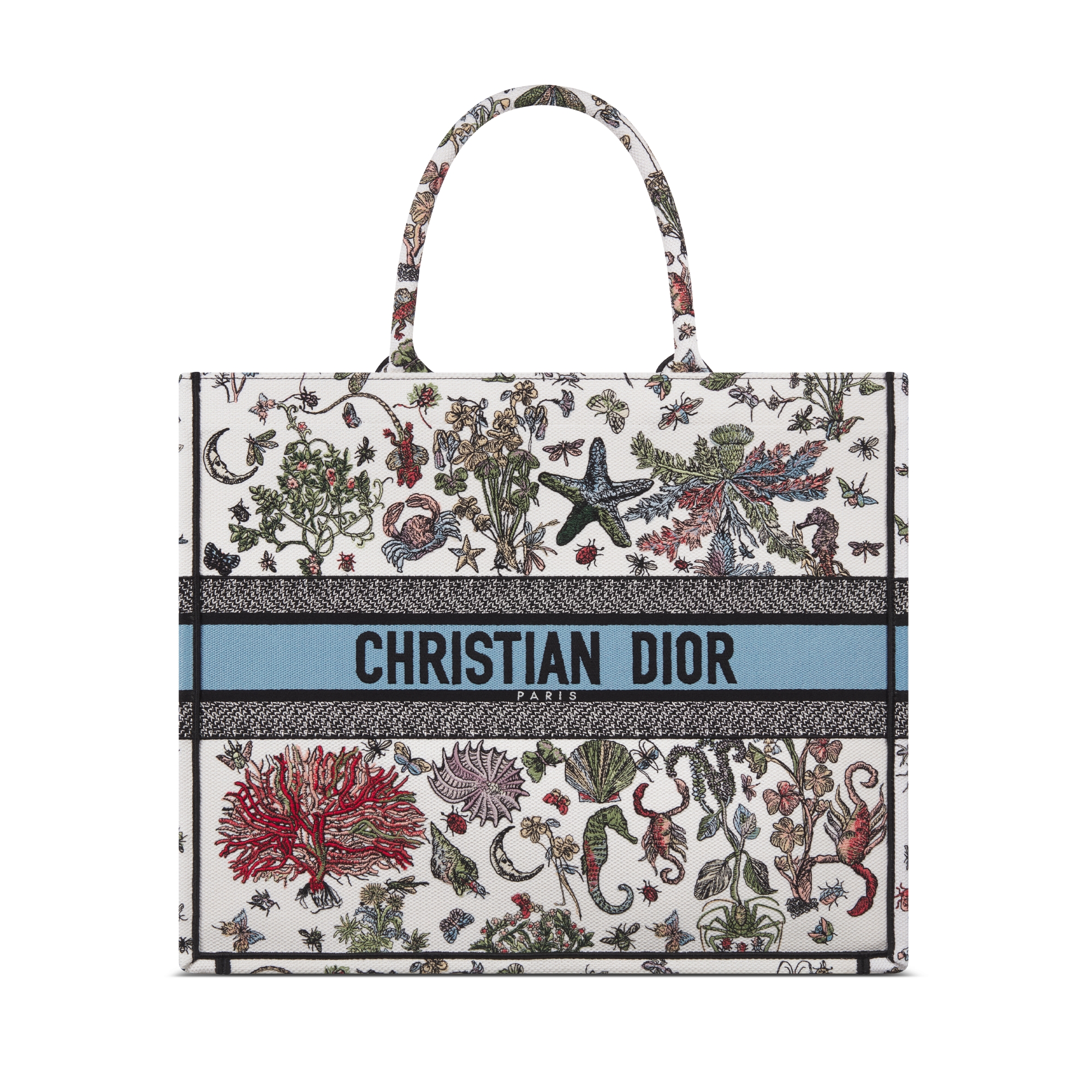 Large Dior Book Tote Latte Embroidery with Multicolor Dior Cabinet de ...