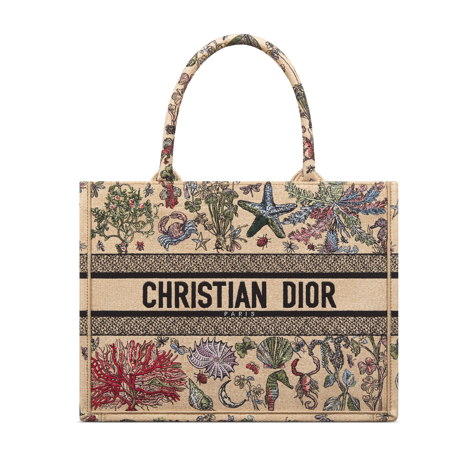Medium Dior Book Tote Beige Raffia Embroidered with Multicolor Dior ...