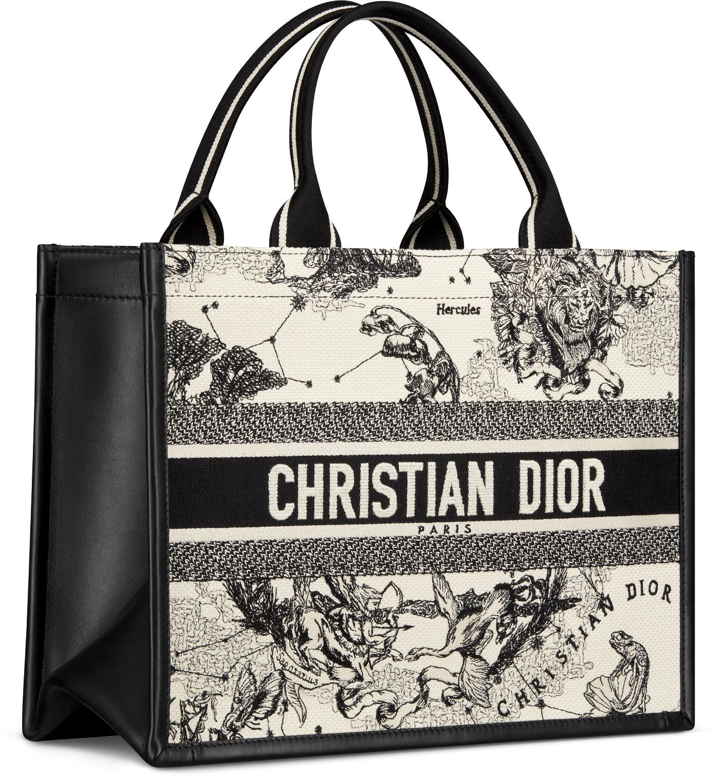 Mittelgroße Dior Book Tote Dior Zodiac Stickerei in Latte und Schwarz ...