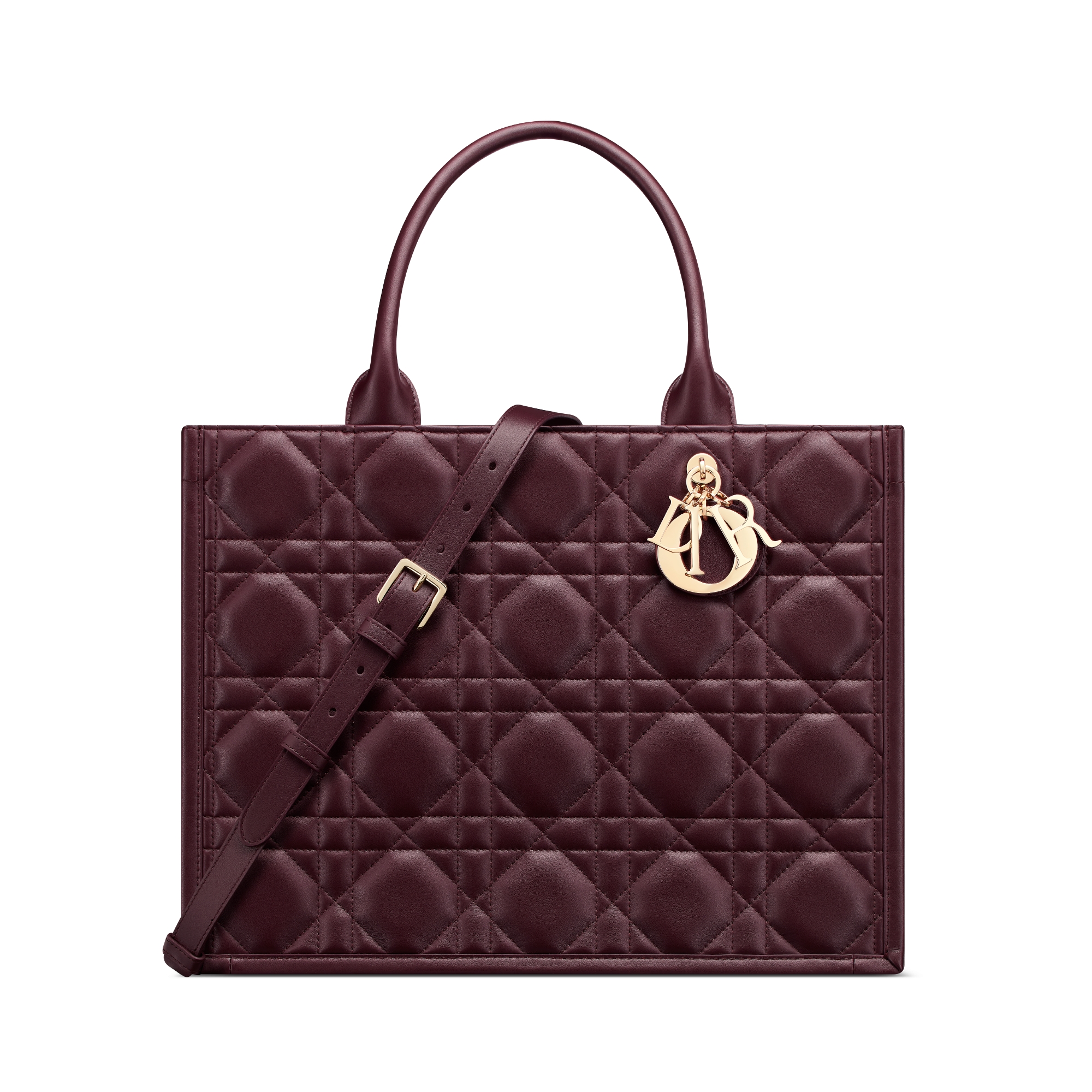 Luxury Designer Handbags for Women | DIOR BG | DIOR