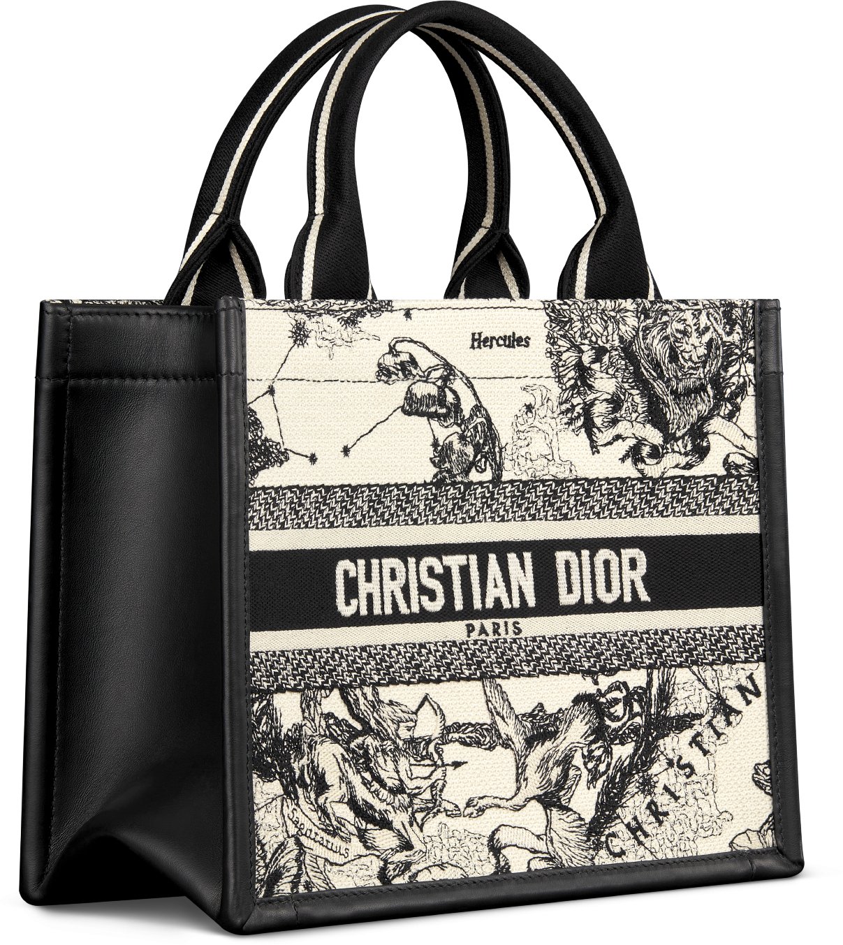 Small Dior Book Tote Latte and Black Dior Zodiac Embroidery with Black ...
