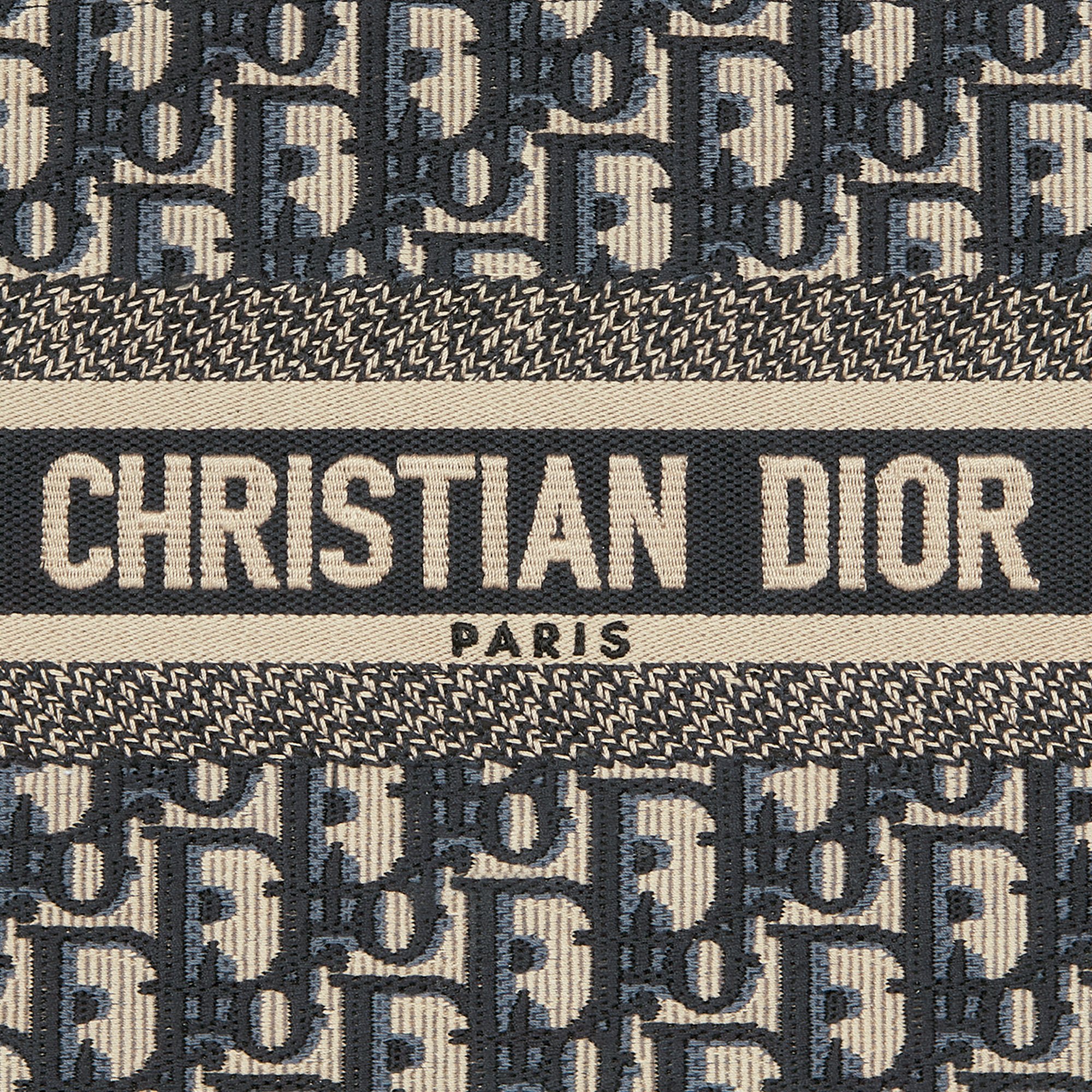 Small Dior Book Tote Blue Dior Oblique Embroidery and Calfskin (26.5 x ...