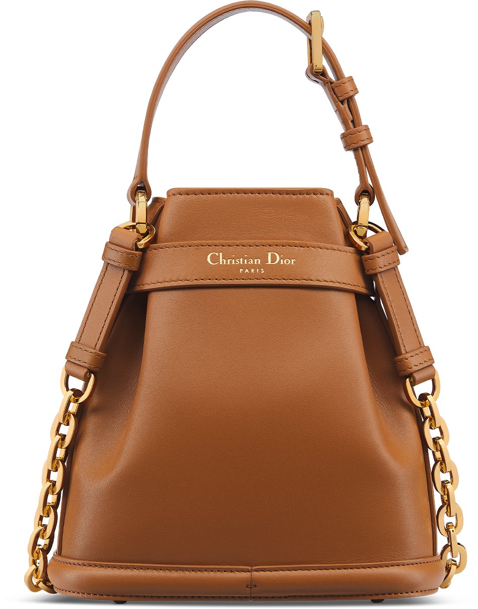 Small C'est Dior Bag Golden Saddle CD-Embossed Calfskin | DIOR