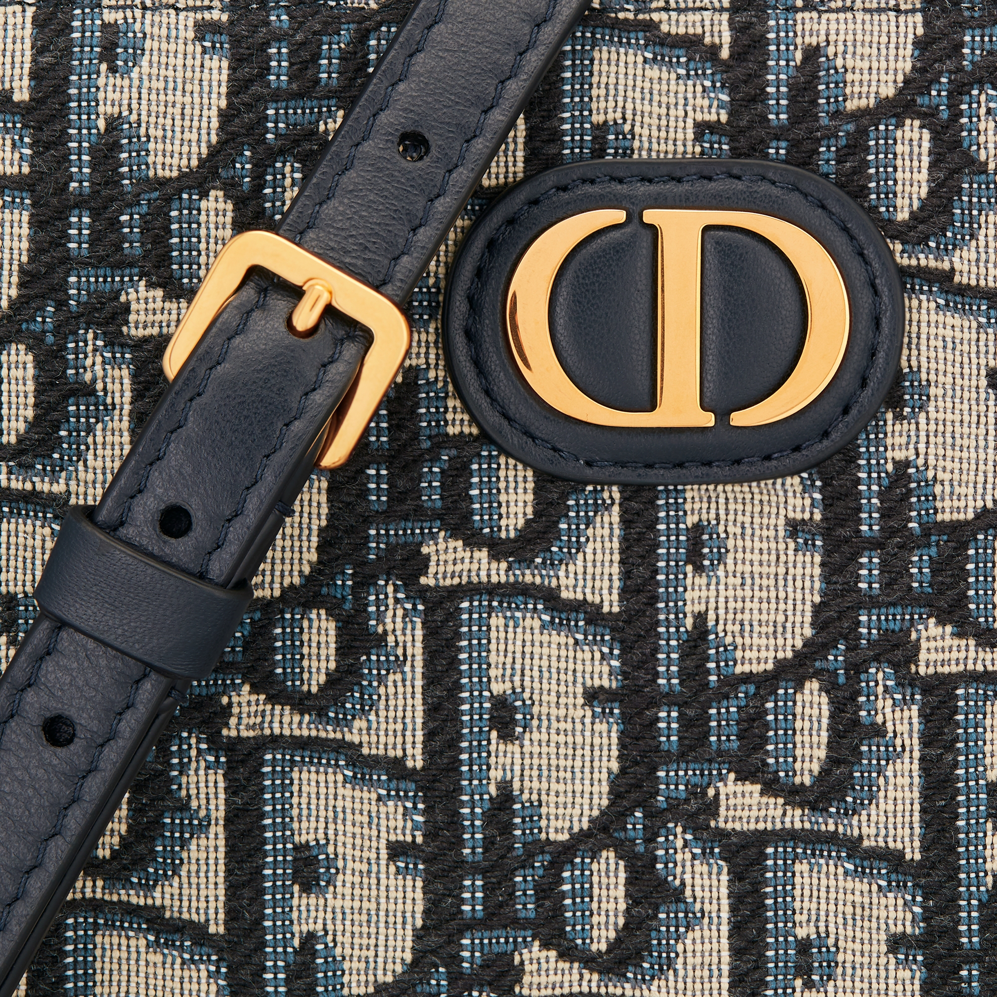 30 Montaigne Box Bag Blue Multicolor Dior Oblique Jacquard | DIOR