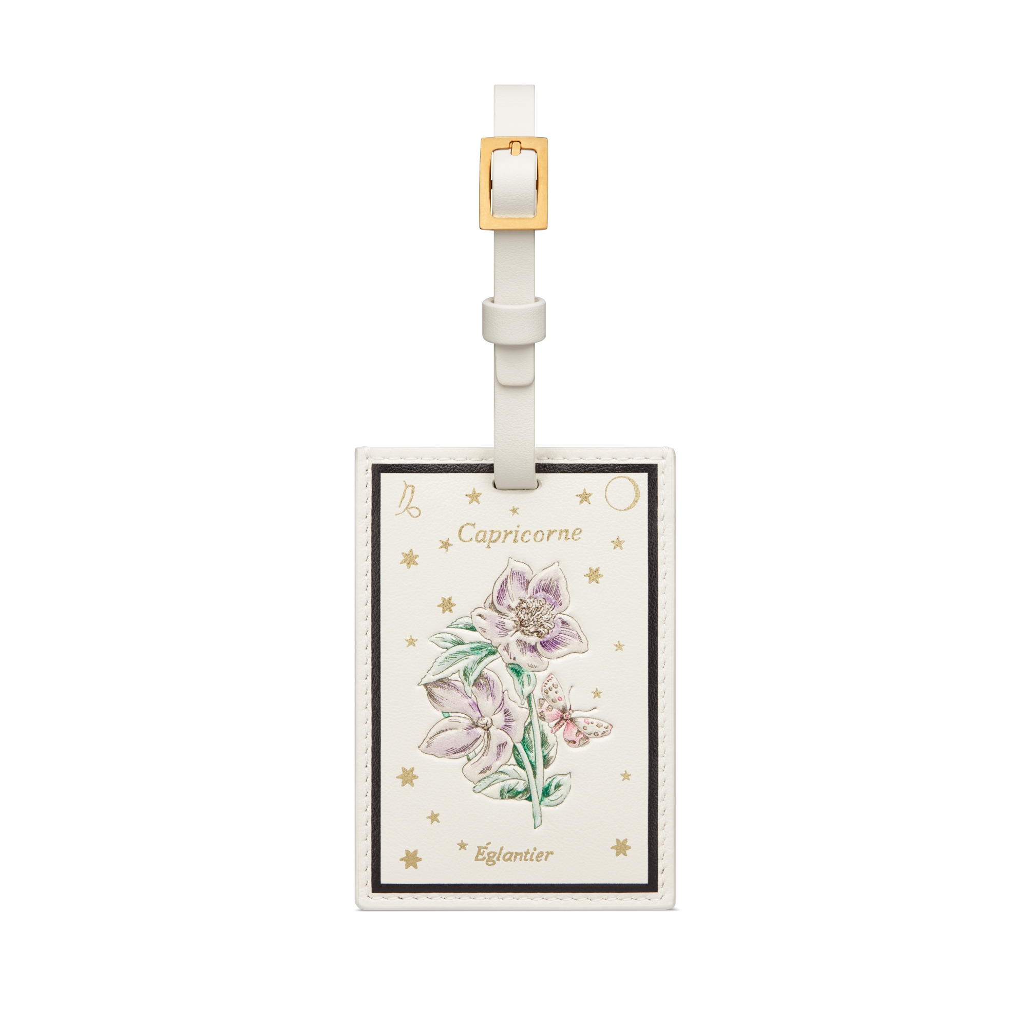 Dior Lucky DiorTravel Luggage Tag Latte Smooth Calfskin with Multicolor ...