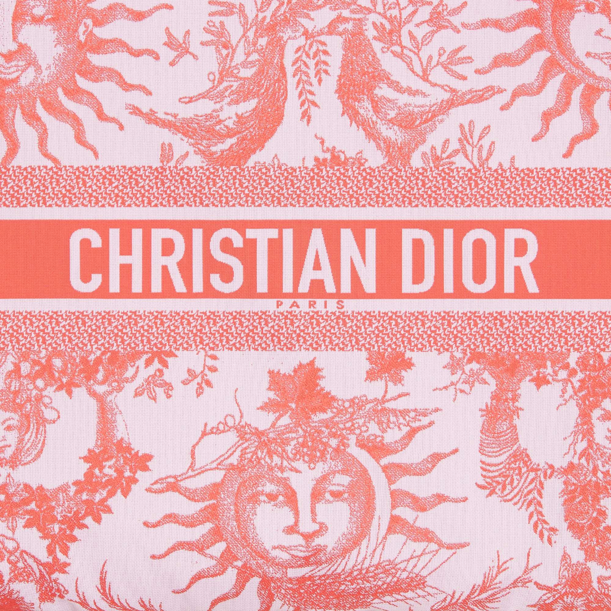 Dioriviera DiorTravel Zipped Pouch Coral Technical Fabric with Toile de ...