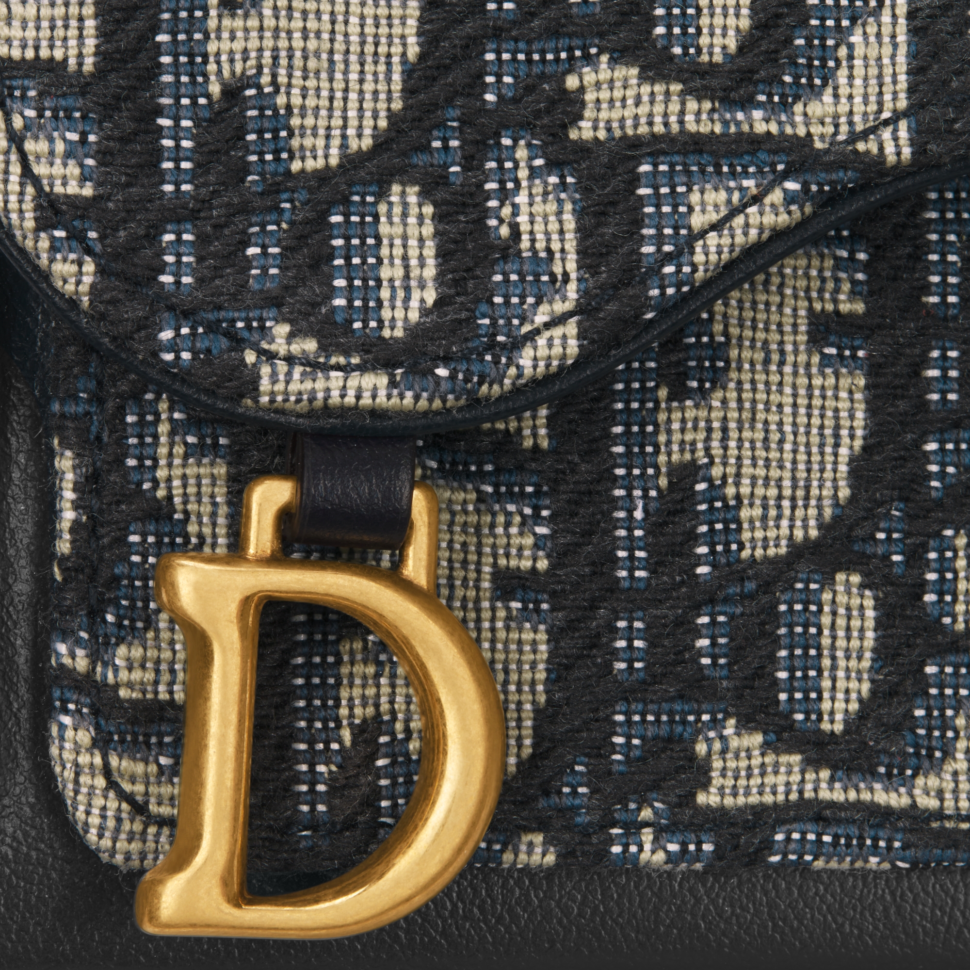 Saddle Cover for iPhone 15 Pro Blue Grained Calfskin and Dior Oblique ...