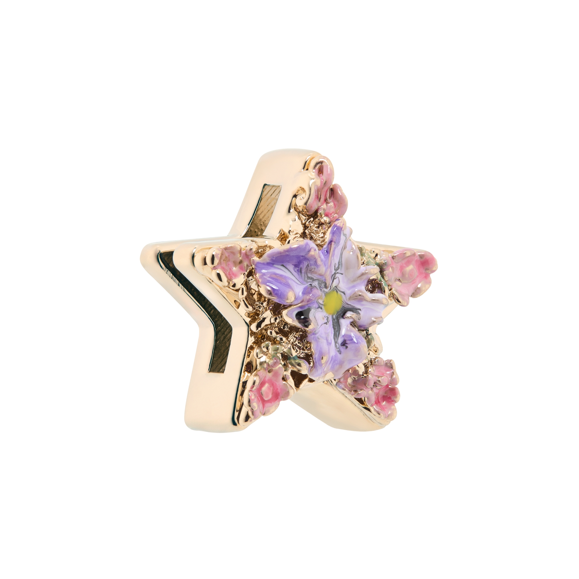 My ABCDior Fleur du Zodiac Stern-Badge mit Sternzeichen Wassermann ...