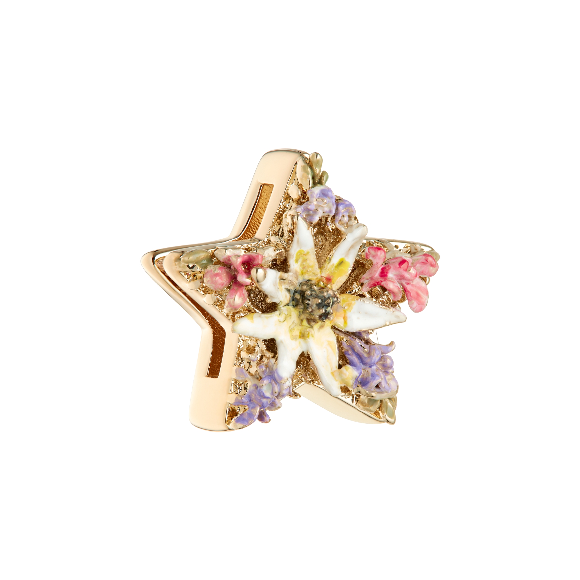 My ABCDior Fleur du Zodiac Aries Star Badge Pale Gold-Finish Metal and ...